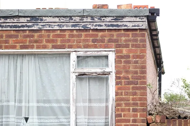 How to Bug Proof Windows and Doors | Clera Windows + Doors